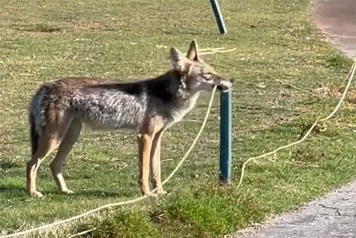Ferren, Mack and Murphy receive Grassroots Ambassador Leadership Awards ...