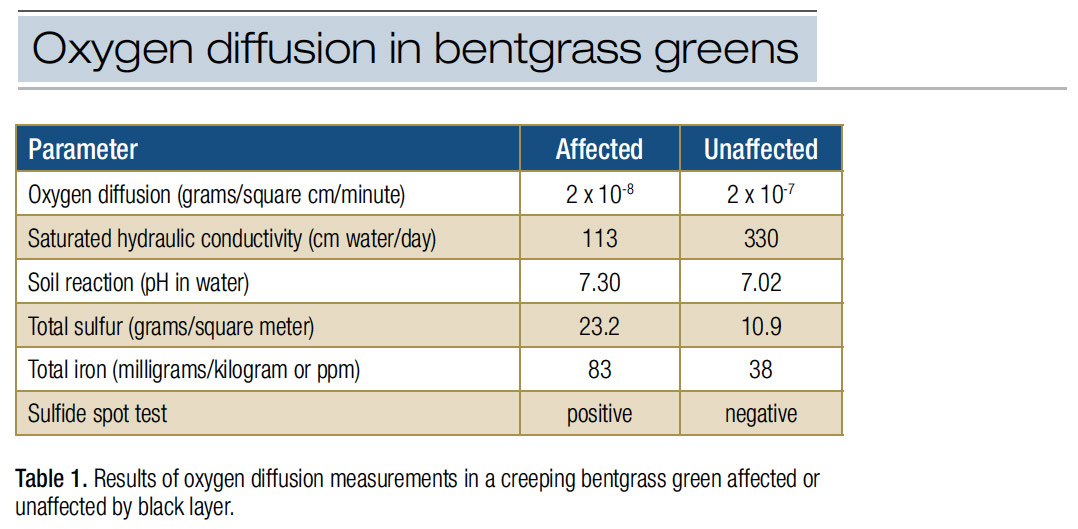 Black layer in turf: Causes and management - GCMOnline.com