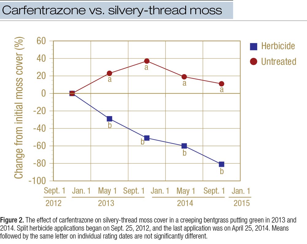 Silvery-thread moss infestation in greens - GCMOnline.com