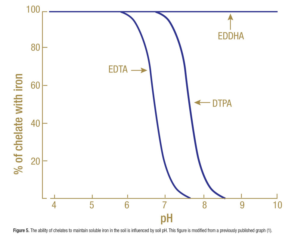 Soil solubility of iron fertilizers - GCMOnline.com