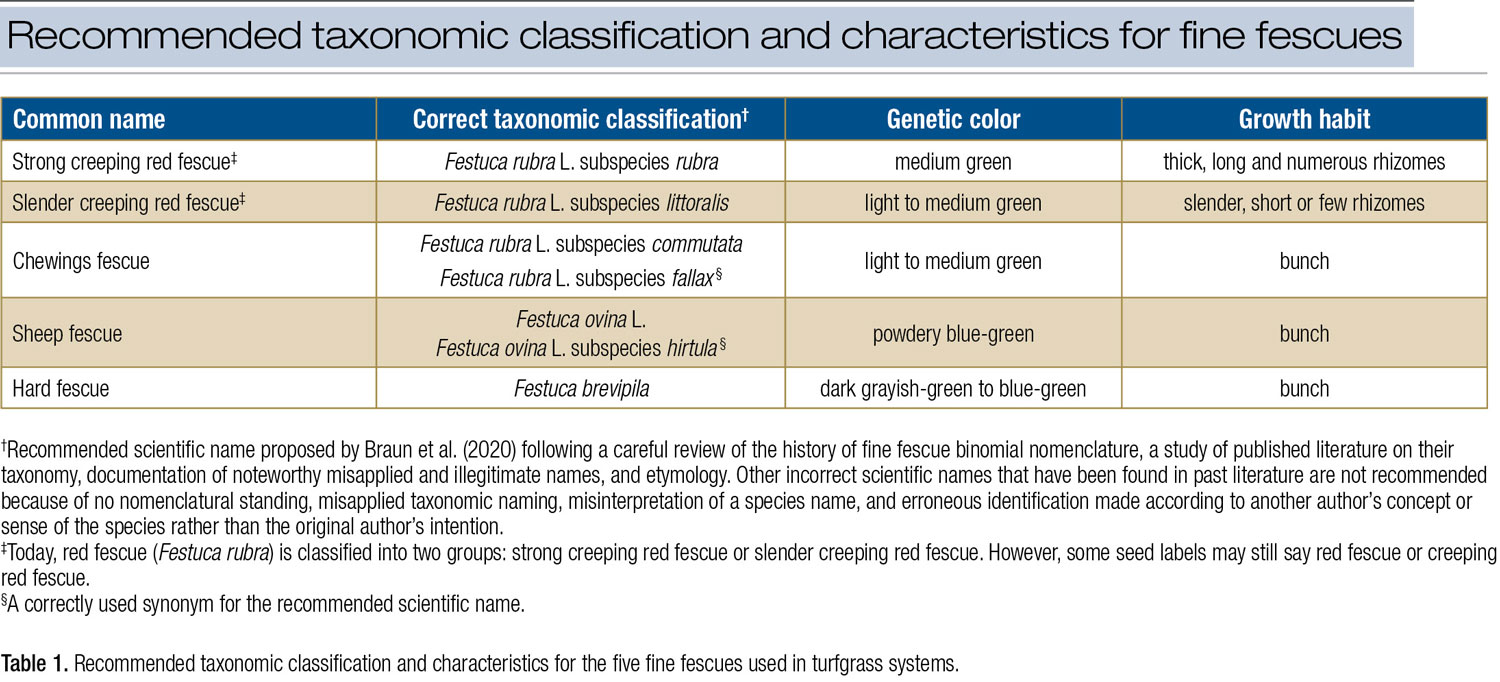 Classifying fine fescues used on golf courses - GCMOnline.com