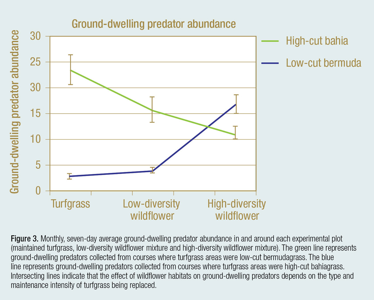 Wildflowers bring in beneficial insects - GCMOnline.com