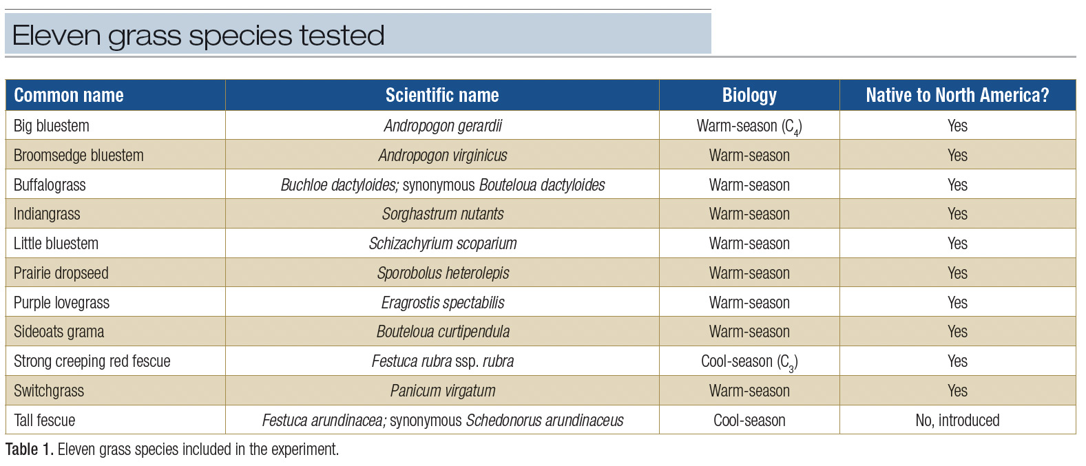 Weed control in minimal- and no-mow golf course roughs - GCMOnline.com