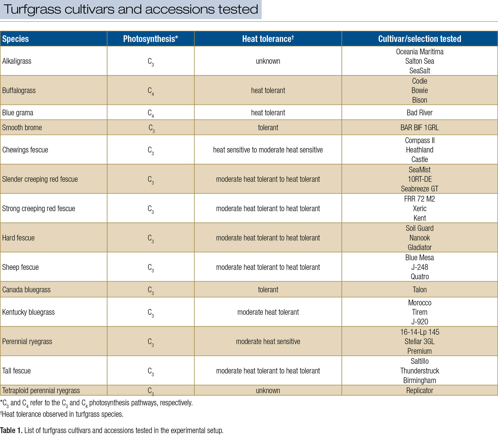 Turfgrass responses to prolonged heat stress - GCMOnline.com
