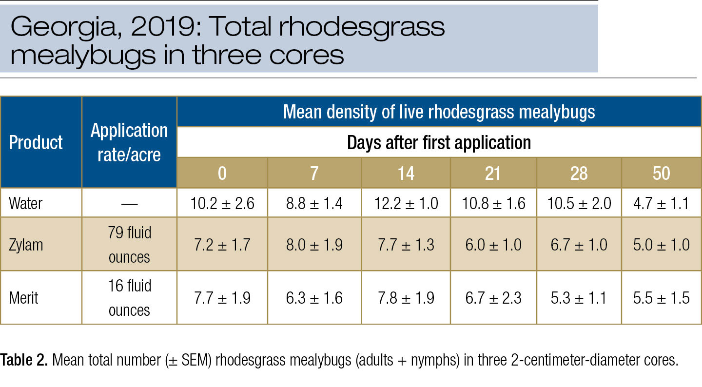 Rhodesgrass mealybug in turf - GCMOnline.com
