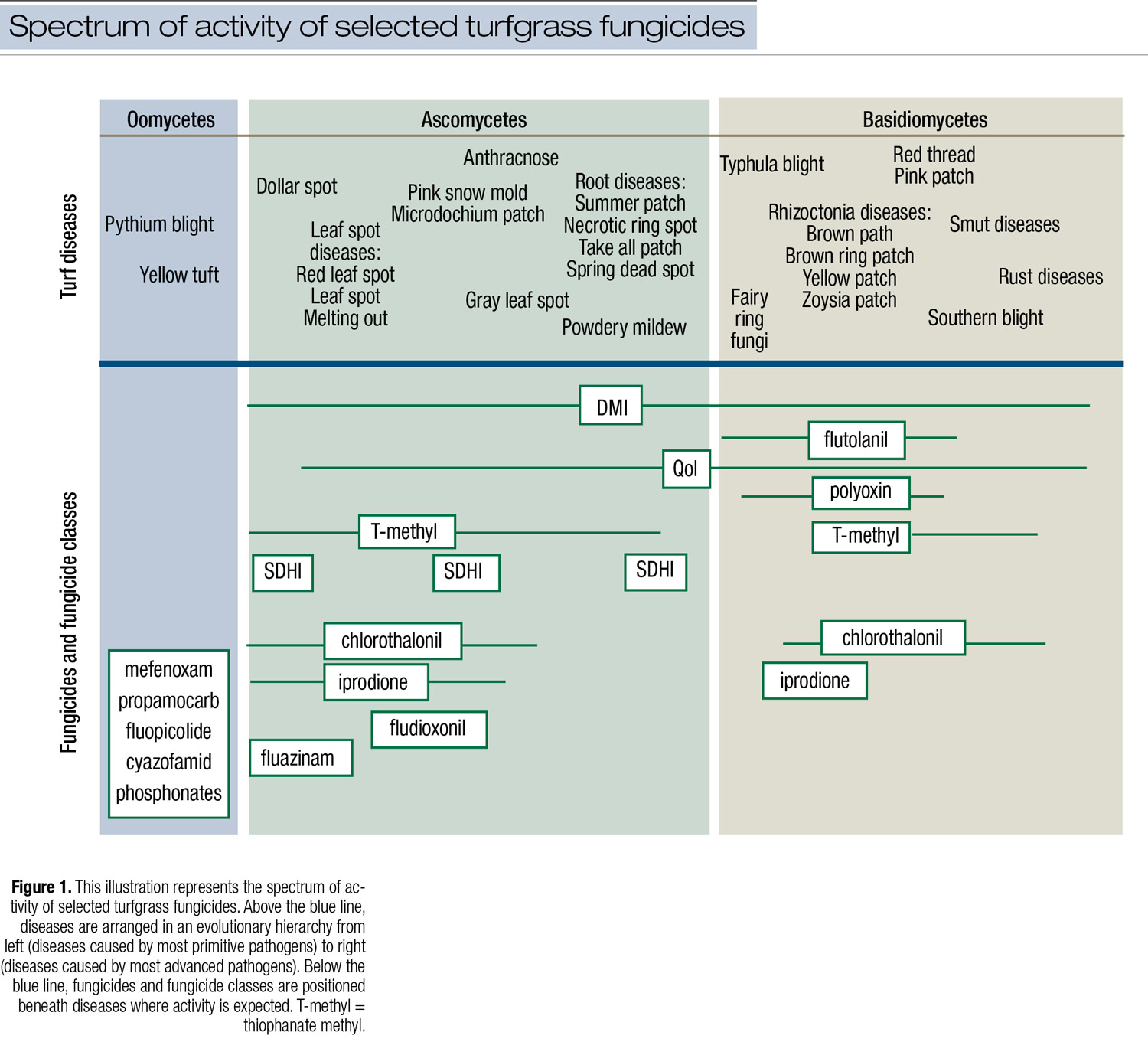 Combination fungicides for improved turfgrass disease control ...