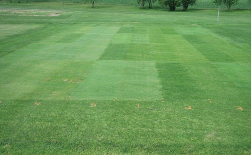 How golf course size has evolved - GCMOnline.com