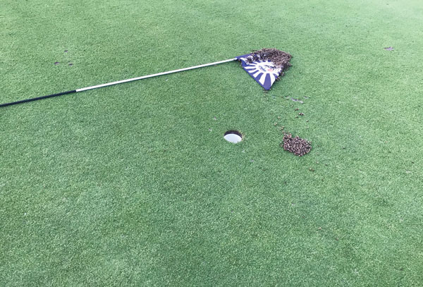 Roy Kizer Golf Course: A tribute in Texas - GCMOnline.com