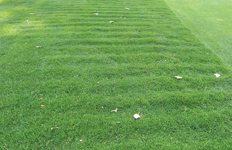 This or that? Turfgrass aerification decisions - GCMOnline.com